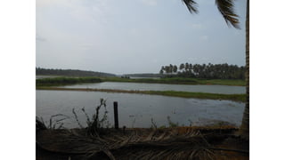 Akathethara ATMA Farmer training integrated farming - Malayalam | PPT