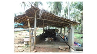 Akathethara ATMA Farmer training integrated farming - Malayalam | PPT