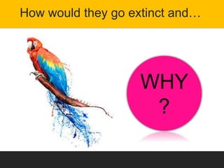 Yoruba and other African Local Languages going extinct, unless... | PPT