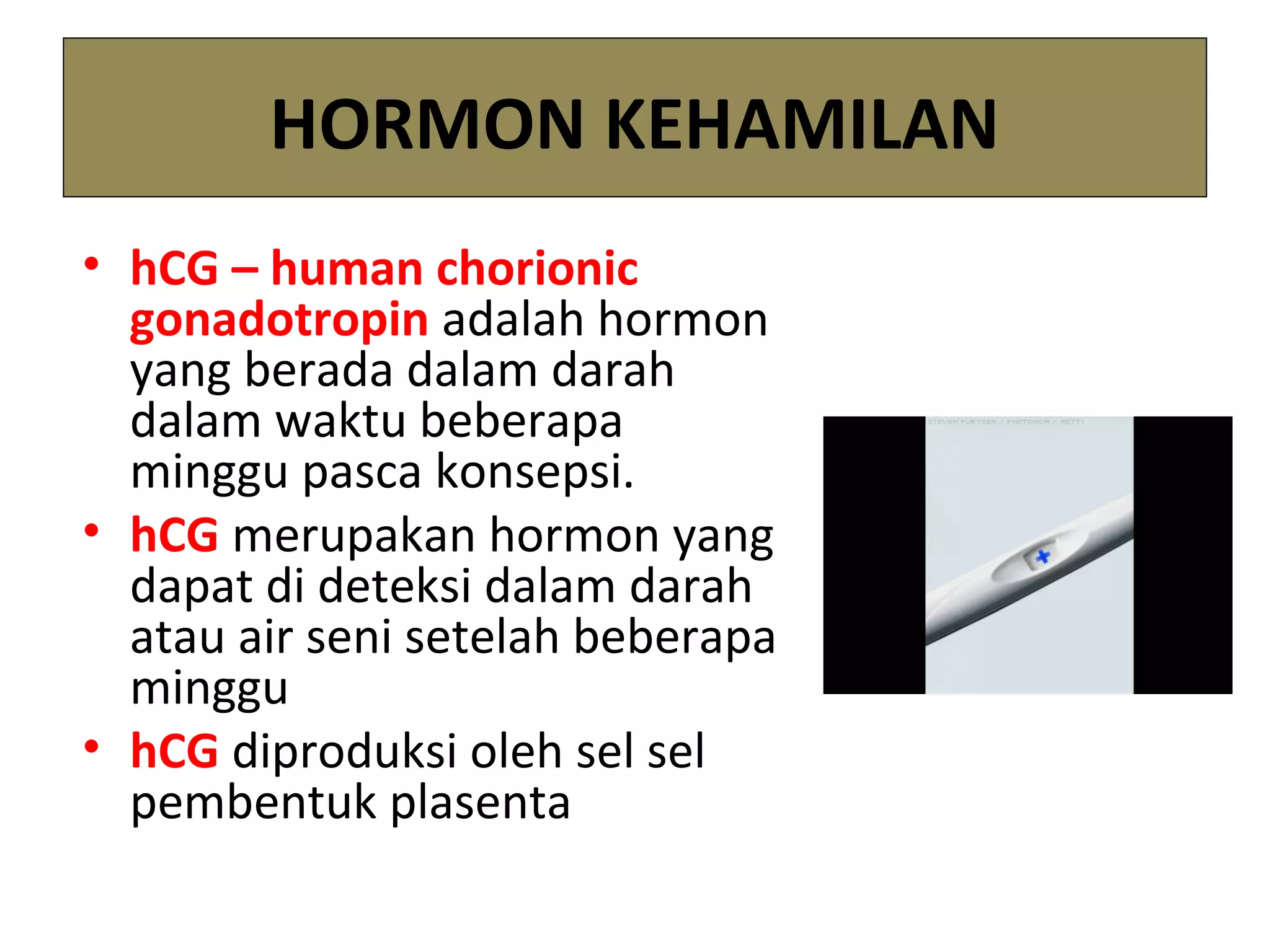 PROSES KEHAMILAN | PPT