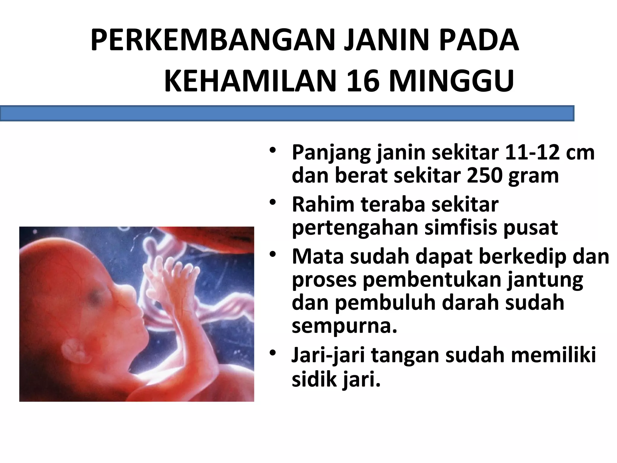 PROSES KEHAMILAN | PPT