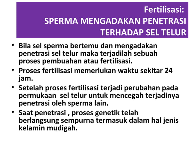 PROSES KEHAMILAN | PPT