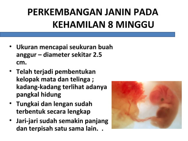 PROSES KEHAMILAN | PPT