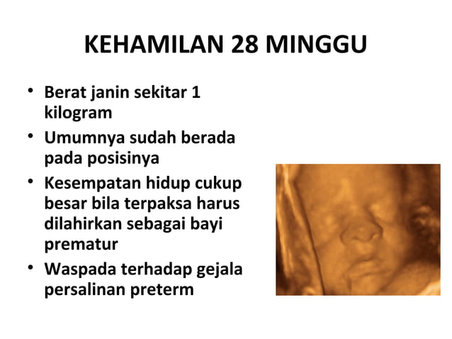 PROSES KEHAMILAN | PPT