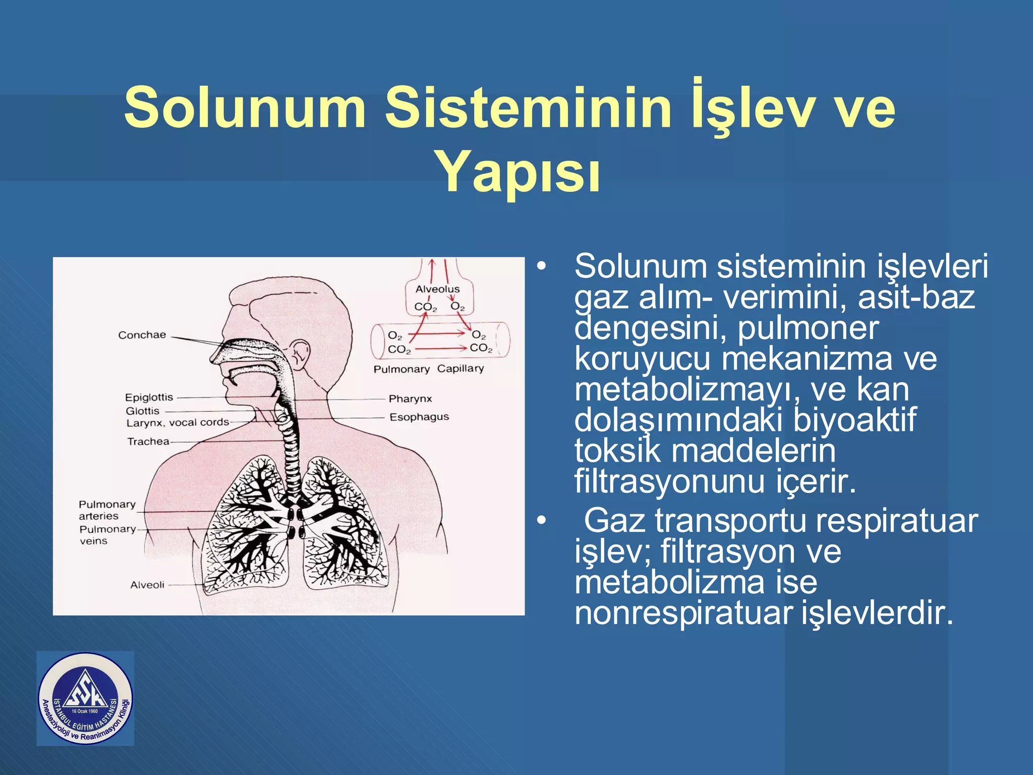 Akciger Fizyolojisive Solunum Fonksiyon Testleri | PPT