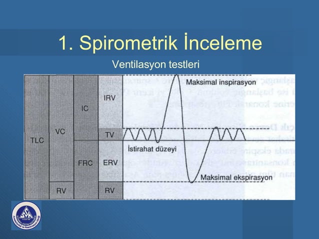 Akciger Fizyolojisive Solunum Fonksiyon Testleri | PPT
