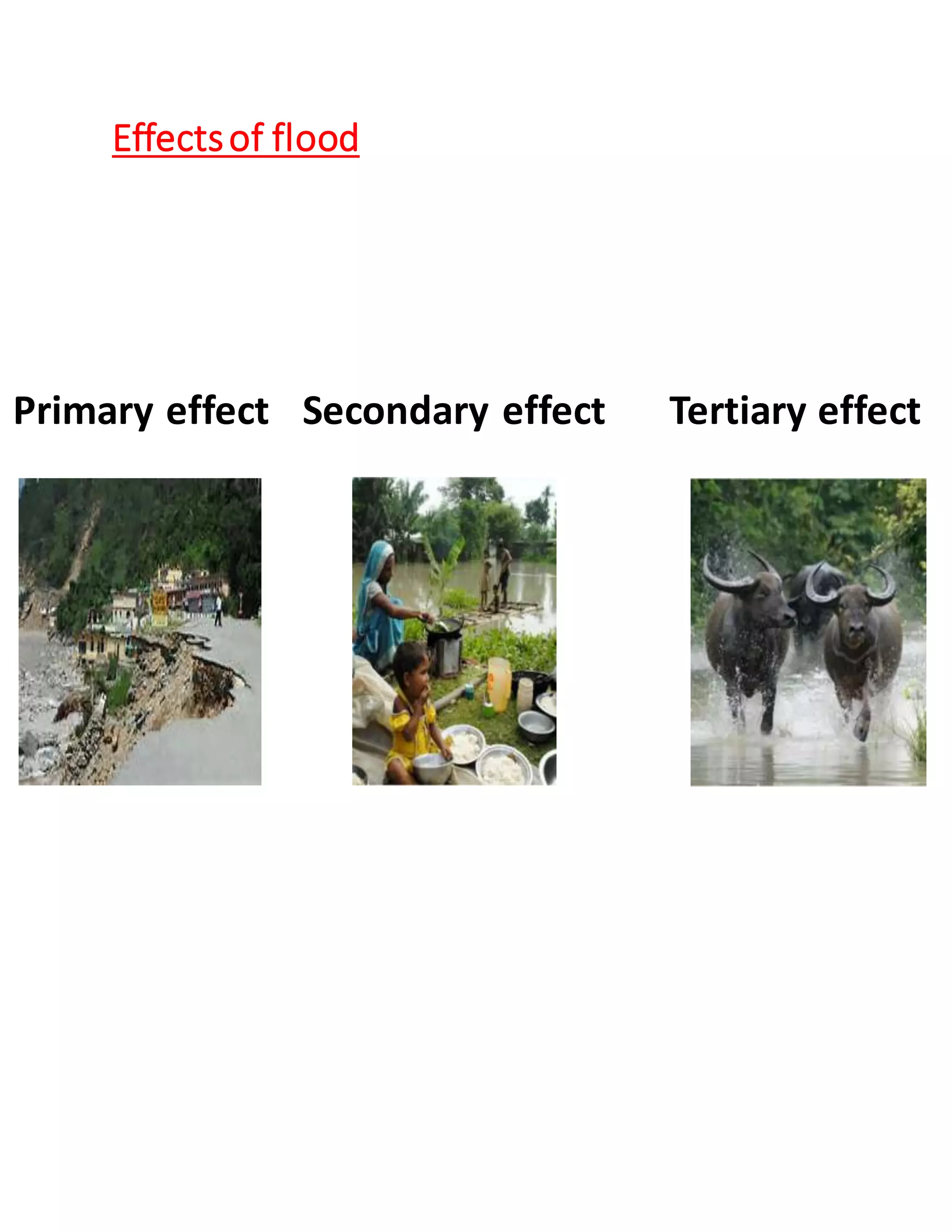 Secondary Effects Of Flood