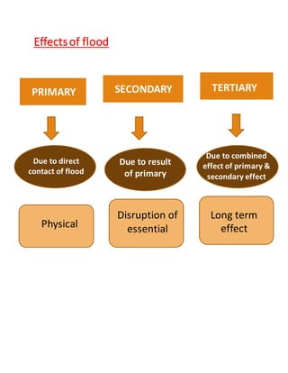 Secondary Effects Of Flood