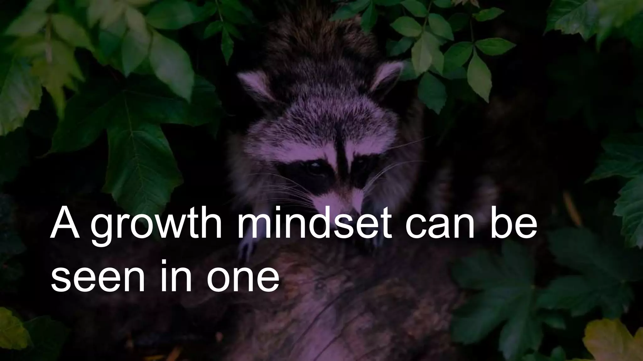 A Key Element for Success is a Growth Mindset | PPTX