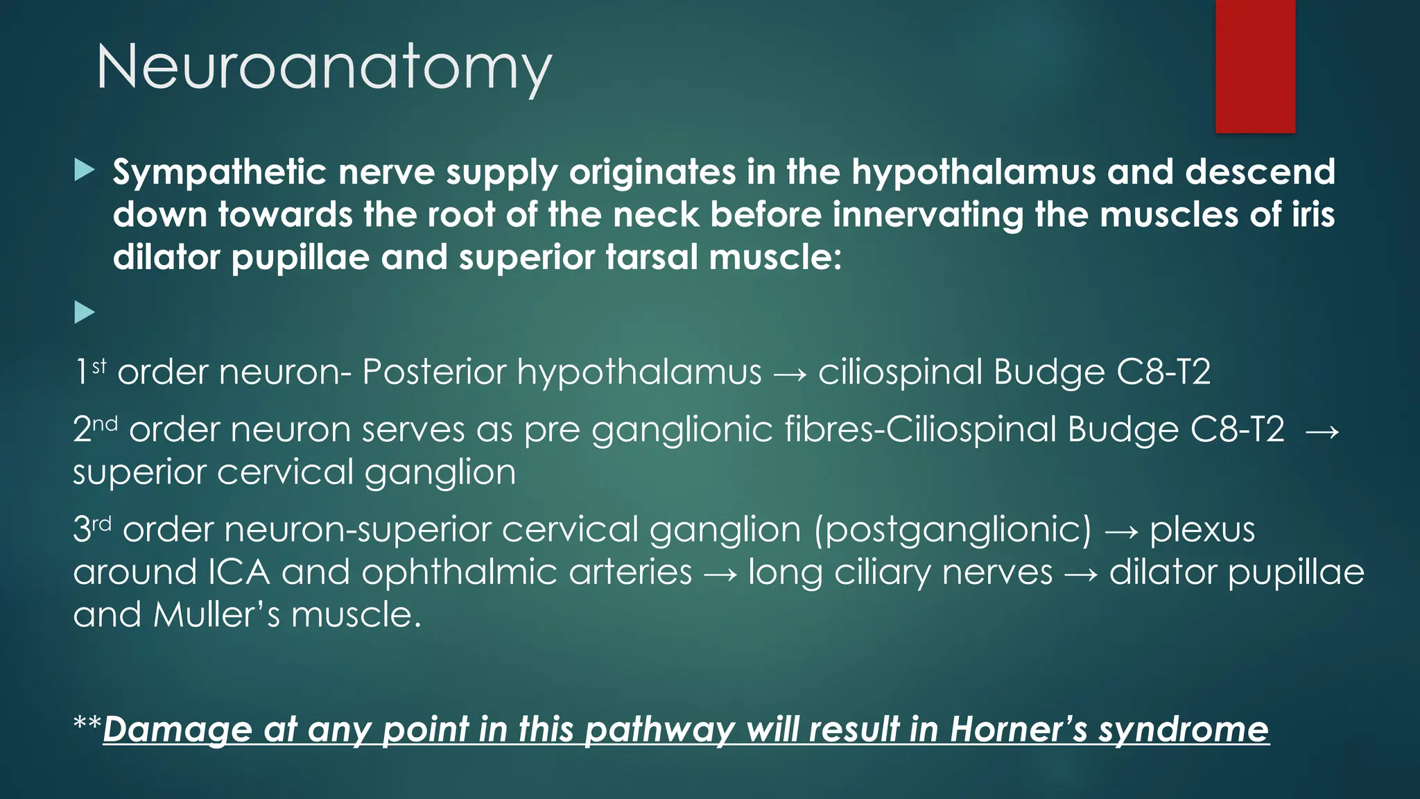 horners syndrome medicine and surgery ppt | PPTX