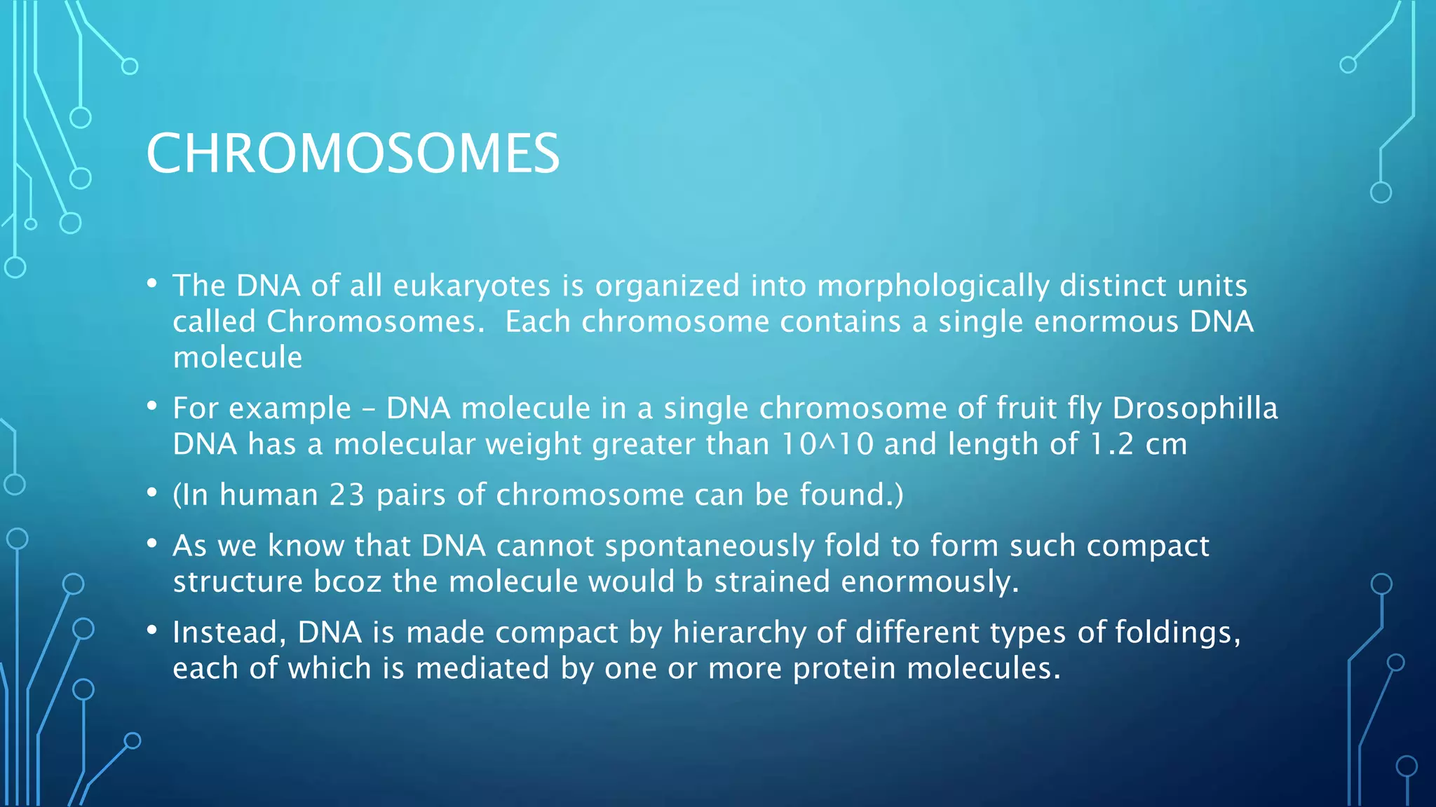 Eukaryotic chromosome organization | PPTX