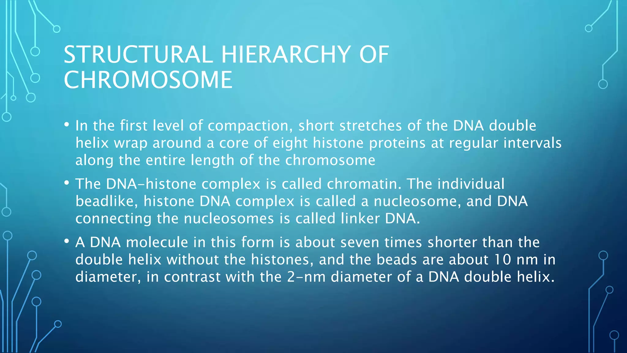 Eukaryotic chromosome organization | PPTX