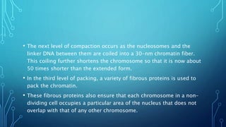 Eukaryotic chromosome organization | PPTX