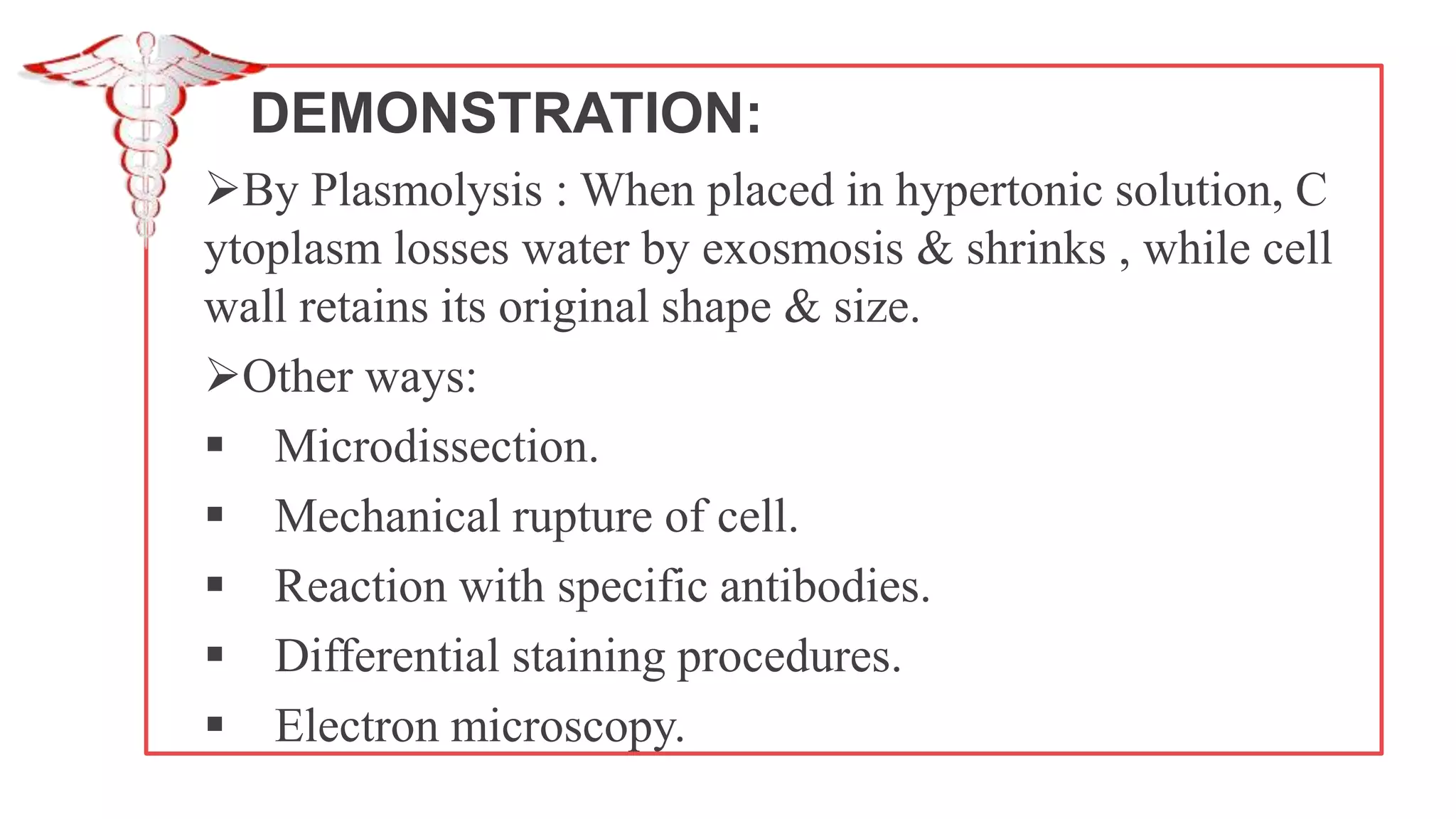 Bacterial cell wall & other related structures | PPTX
