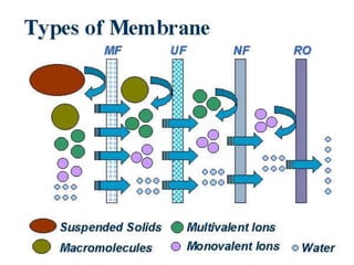 Purification of water by membrane Technology | PPTX