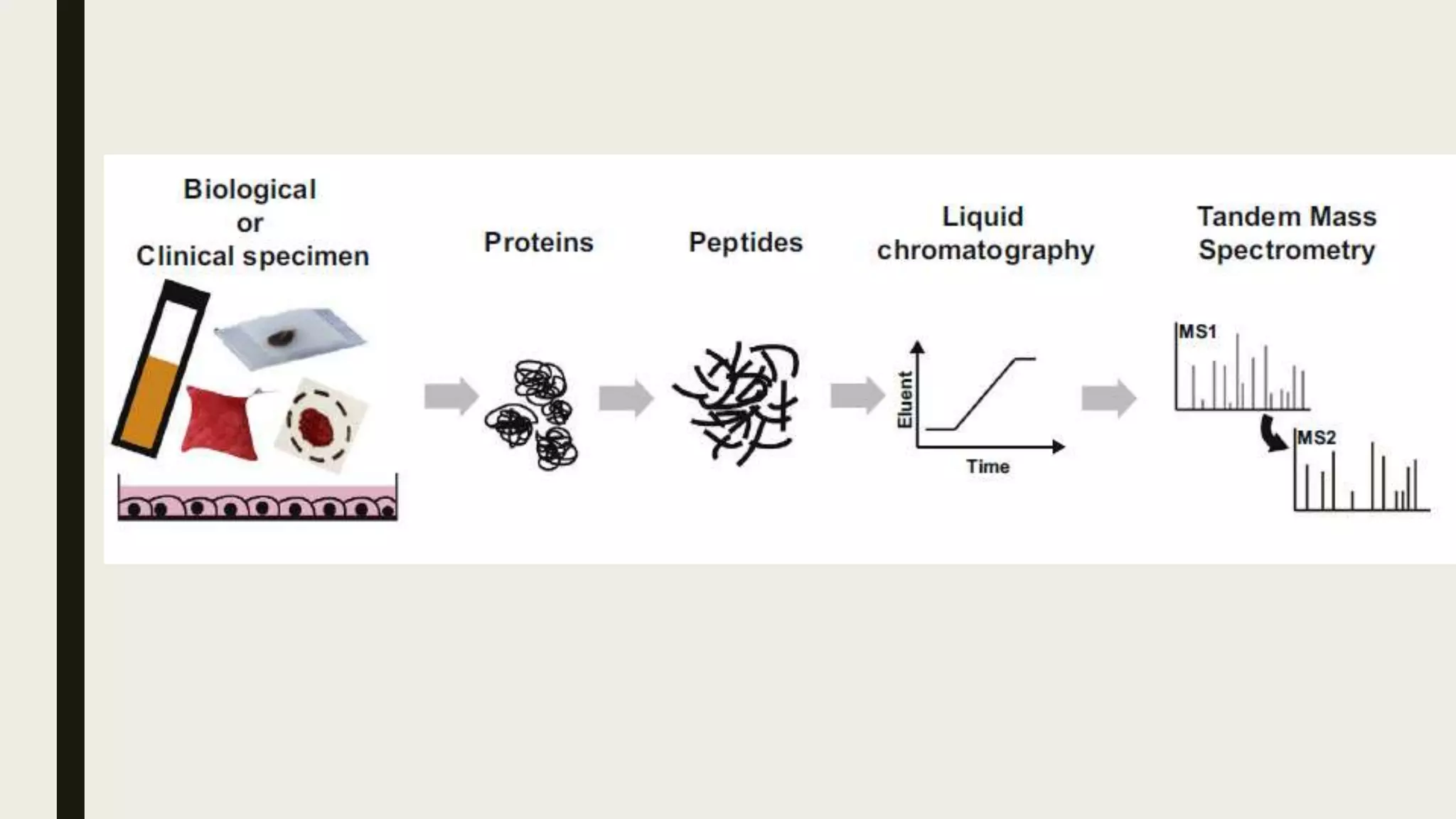 Target discovery and Validation - Role of proteomics | PPTX