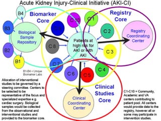 uptodate on acute kidney injury | PPT