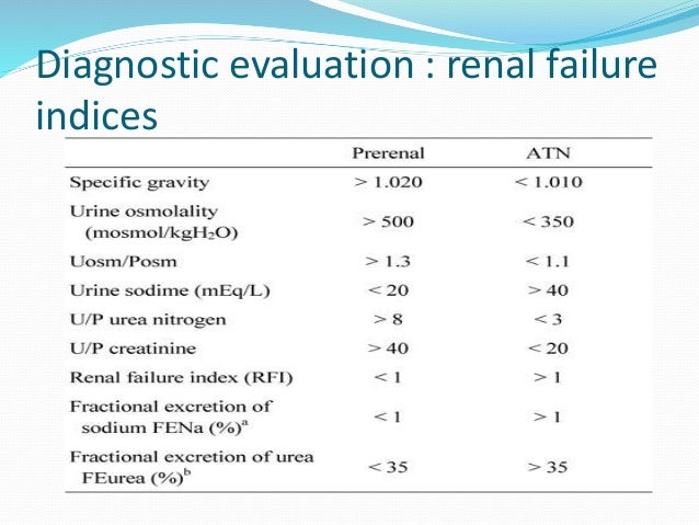 Acute Kidney Injury