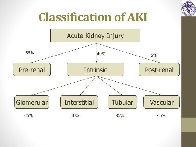Approach to a Patient with Acute kidney injury