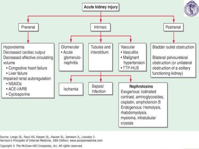 Approach to a Patient with Acute kidney injury