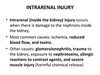 Acute Kidney Injury | PPT