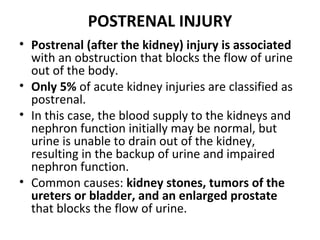 Acute Kidney Injury | PPT