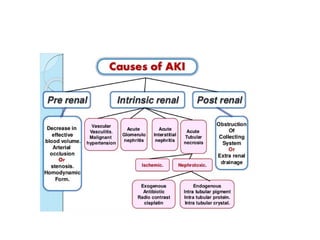 Acute Kidney Injury | PPT