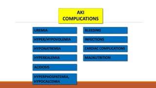 Aki | PPT