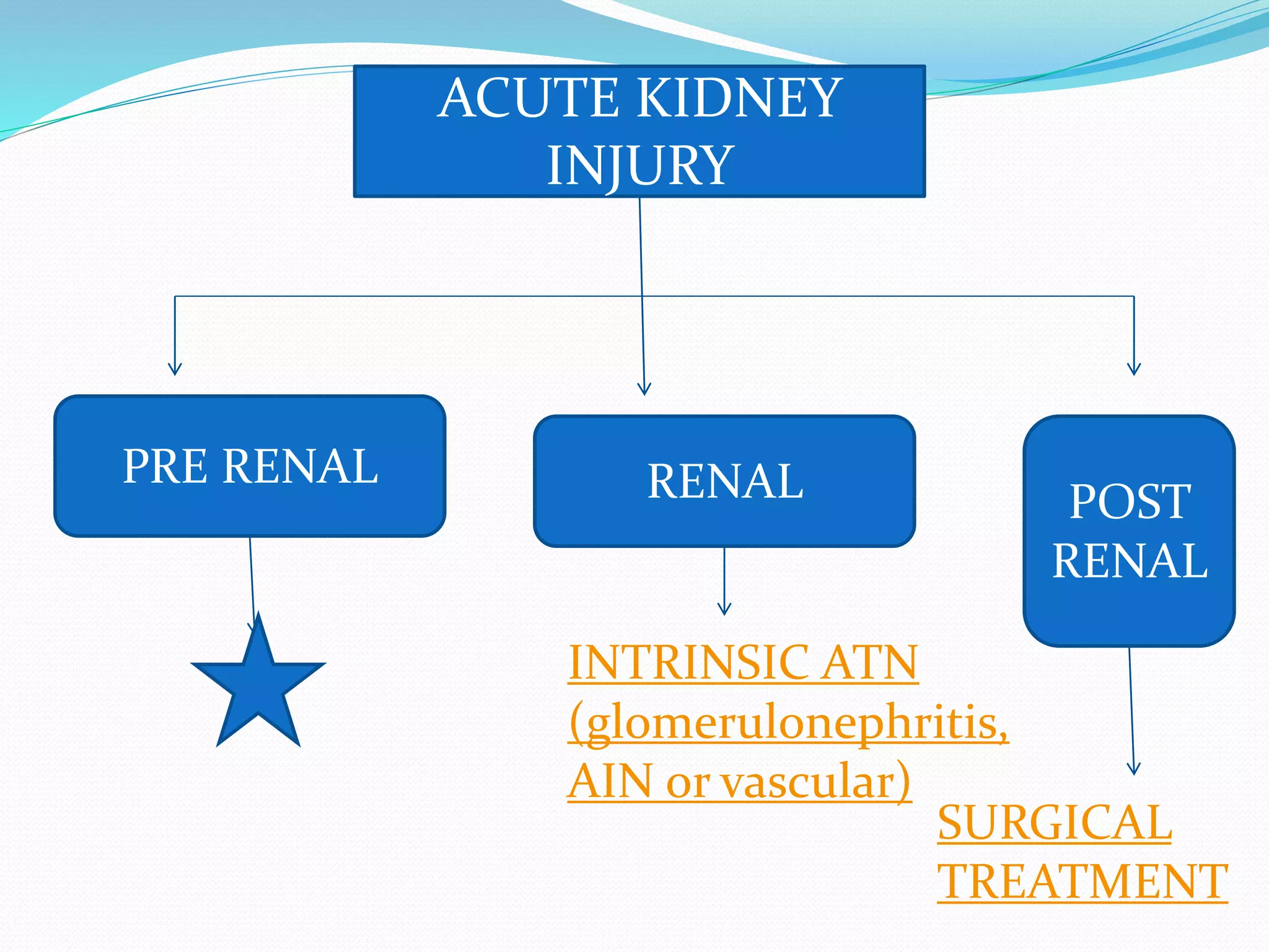 Acute kidney injury | PPTX