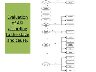 Acute Kidney Injury | PPT