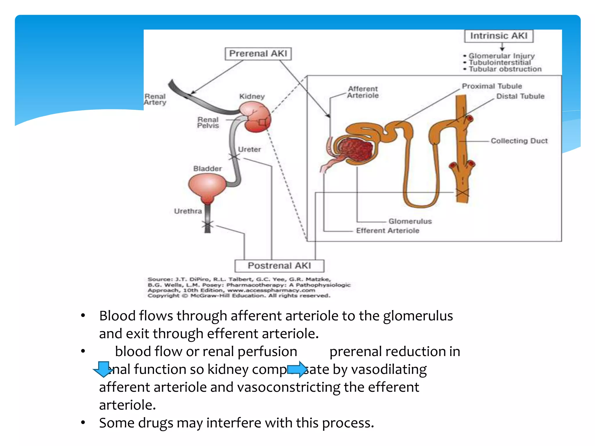 Acute Kidney Injury - Pharmacotherapy | PPTX