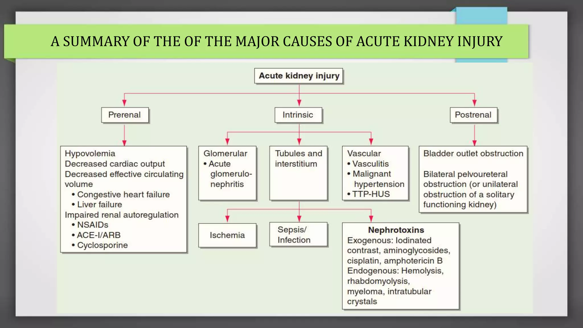 ACUTE KIDNEY INJURY / ACUTE RENAL FAILURE | PPTX