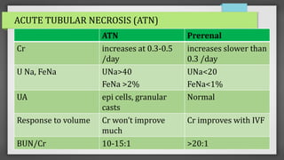 ACUTE KIDNEY INJURY / ACUTE RENAL FAILURE | PPTX