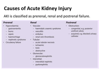 AKI in children | PPTX