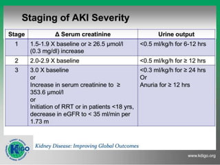 Acute Kidney Injury in children p[t.pptx