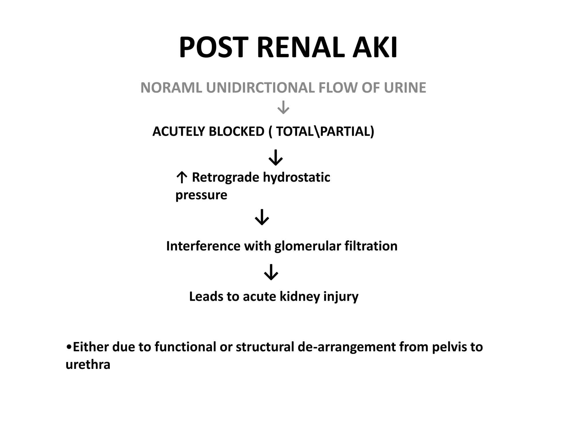 Acute Kidney Injury Etiology,Type and MANEGEMENT | PPTX