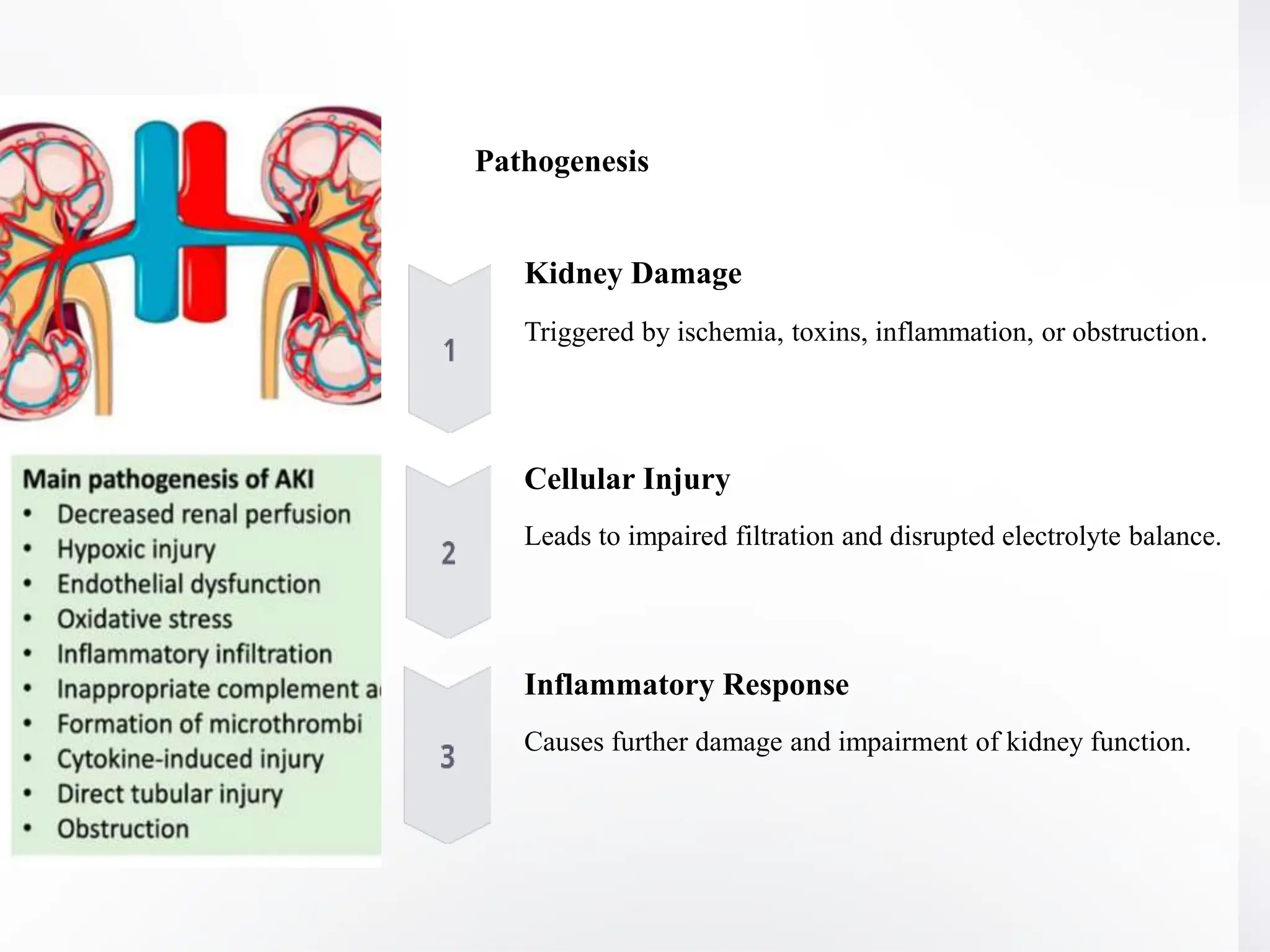 acute kidney disease /acute kidney injury | PPTX