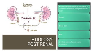 Acute Kidney Injury, (full description). | PPTX
