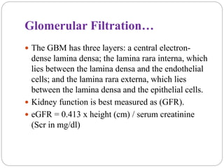 Acute Kidney injury AKI................ppt