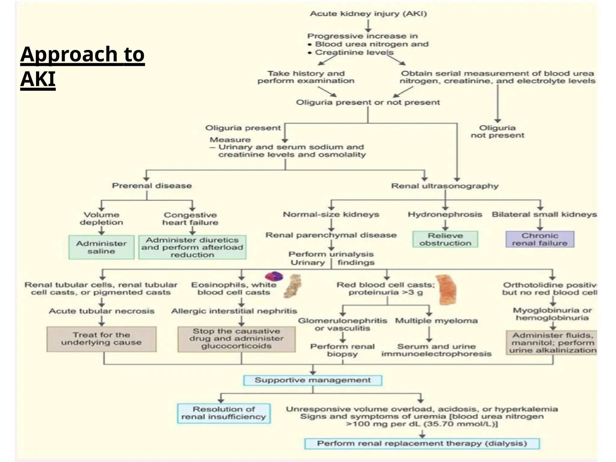 AKI.pptx Acute kidney injury MBBS MEDICINE | PPT