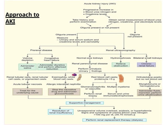AKI.pptx Acute kidney injury MBBS MEDICINE | PPT