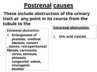 AKI.pptx Acute kidney injury MBBS MEDICINE | PPTX