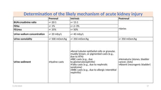 Acute Kidney Injury (AKI) Presentation.pptx