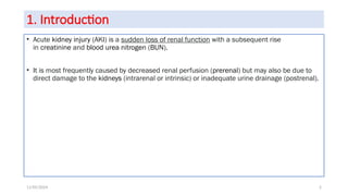 Acute Kidney Injury (AKI) Presentation.pptx