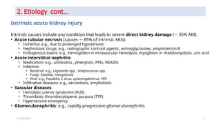 Acute Kidney Injury (AKI) Presentation.pptx