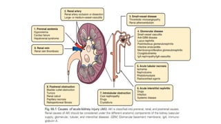 Acute kidney injury - mechanism and types | PPTX