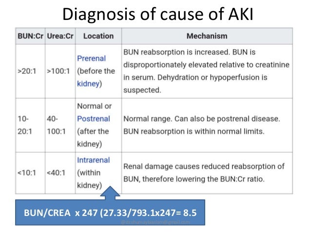 Acute Kidney Injury-case management and discussion