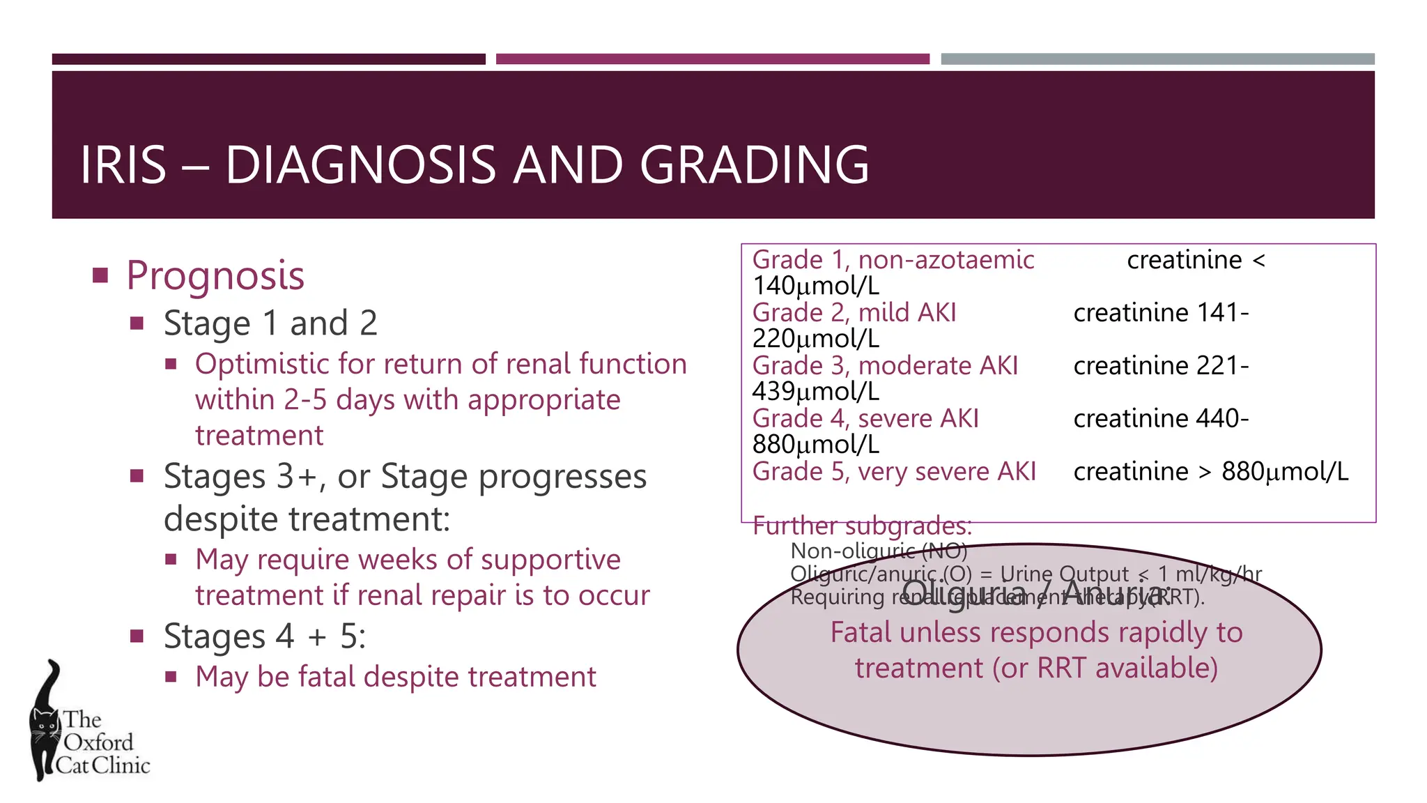 Acute Kidney injury _Acute Kidney Disease.pptx