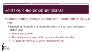Acute Kidney injury _Acute Kidney Disease.pptx
