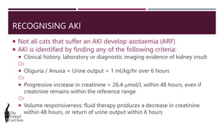 Acute Kidney injury _Acute Kidney Disease.pptx | Digestive Disorders ...